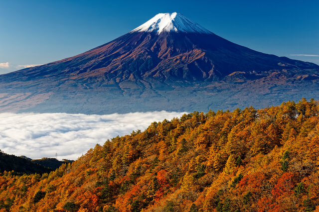 Top 10 Spots To See Japanese Leaves in Fall - Interac Network